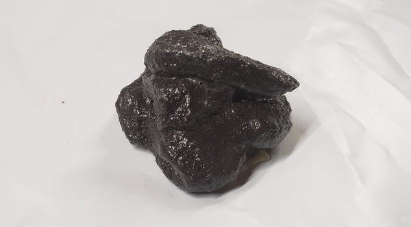 Need-A-Turd Predator Lure Placement and Holder – Southern Snares & Supply